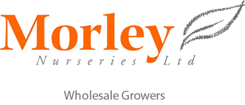 Range | Morley Nurseries Ltd.