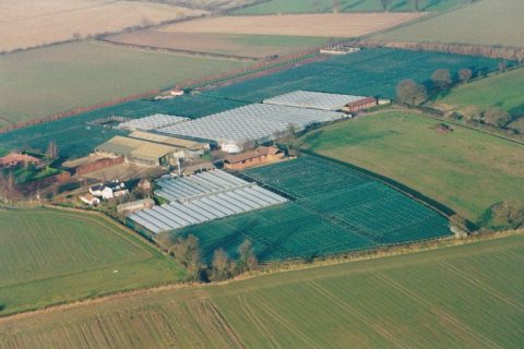 Contact | Morley Nurseries Ltd.